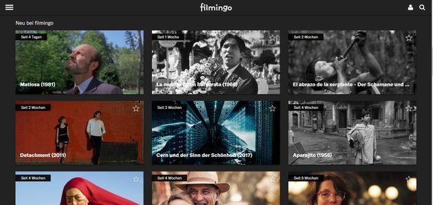 filmingo Erfahrungen 2025 » Test, Details & Features