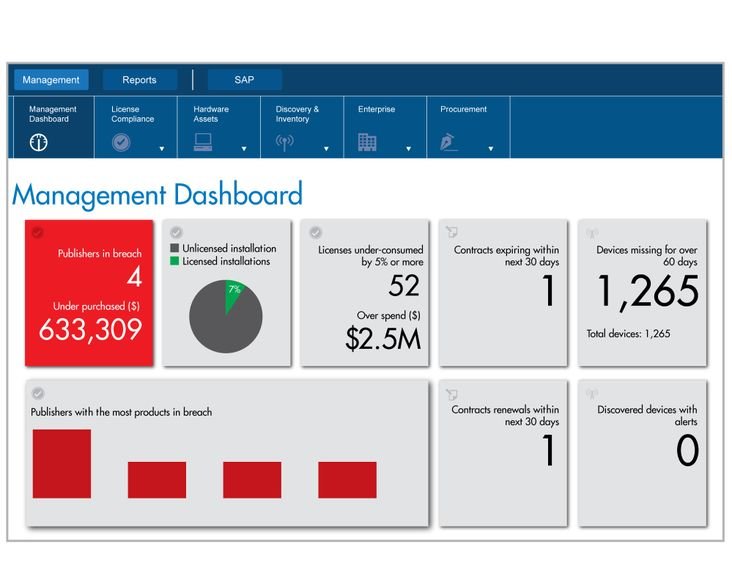 FlexNet Manager Platform im Test: Bewertungen & Kosten 2025 im Überblick